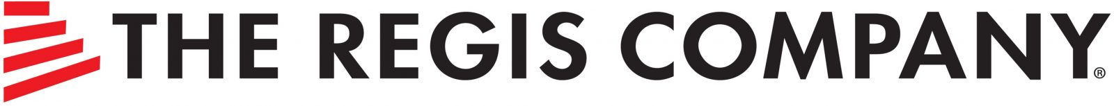 Our Partners - Team Strategic Thinking